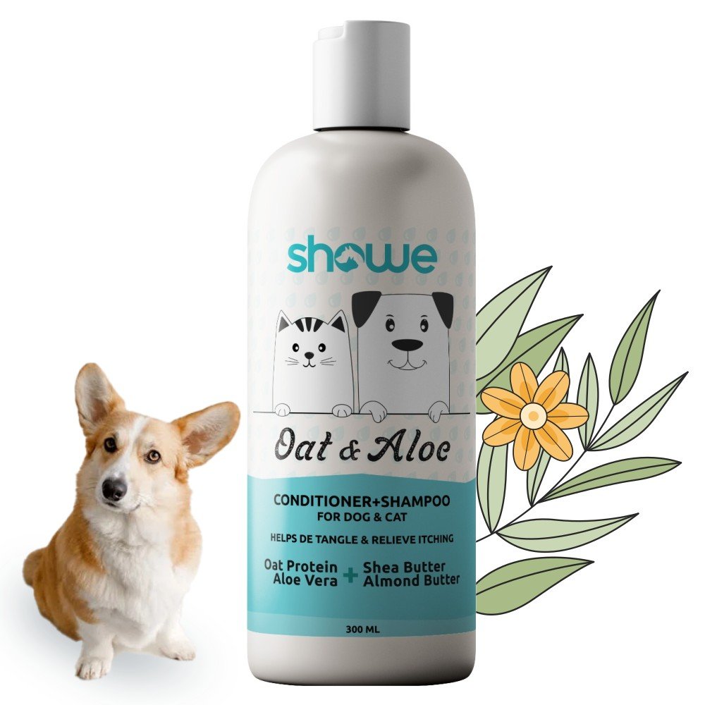 Home - showe